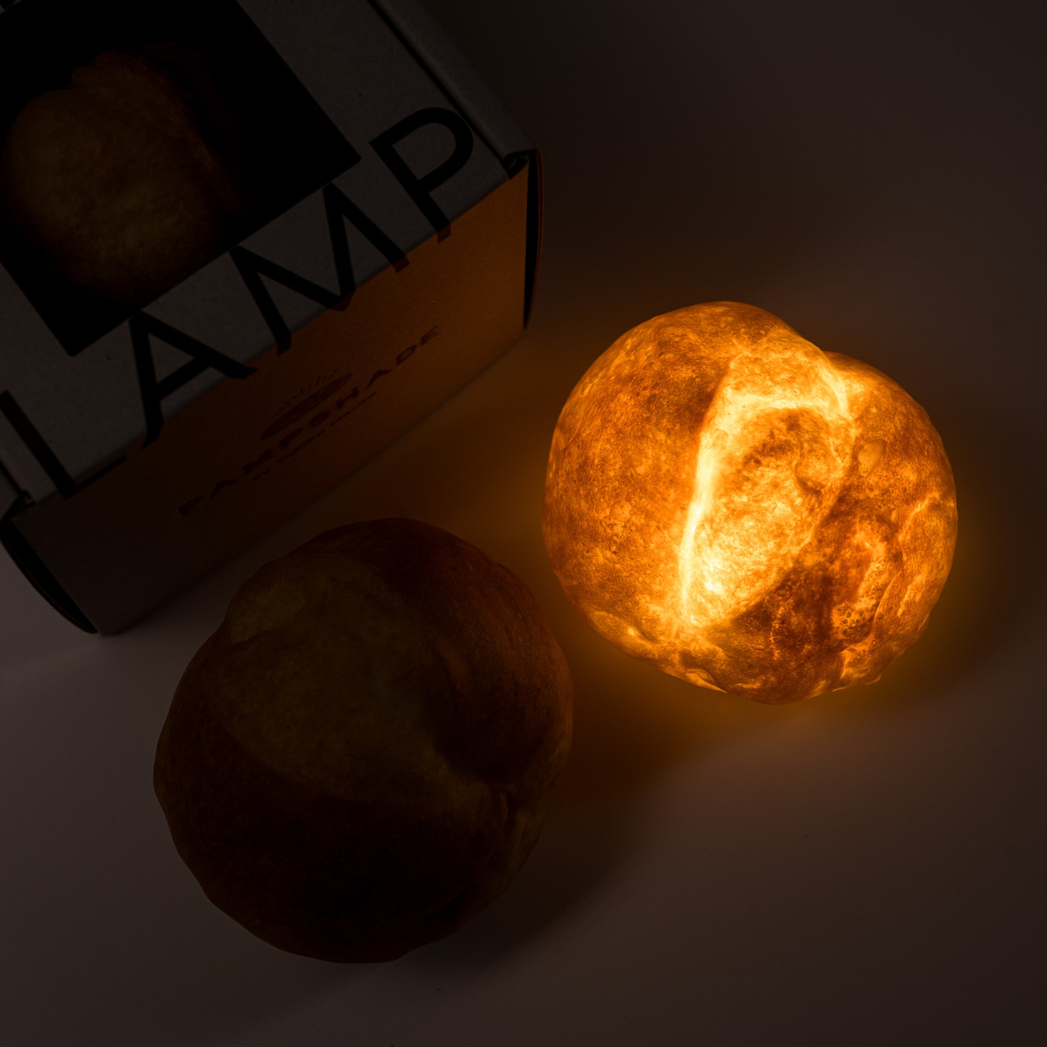 PAMPSHADE Real Bread Lamp - Petit Bread / パンプシェード by Yukiko Morita ...