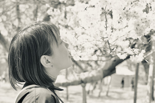 Youna Matsushita Japanese Calligraphy - Jaku / 寂 - 松下夕那 – Osara Australia